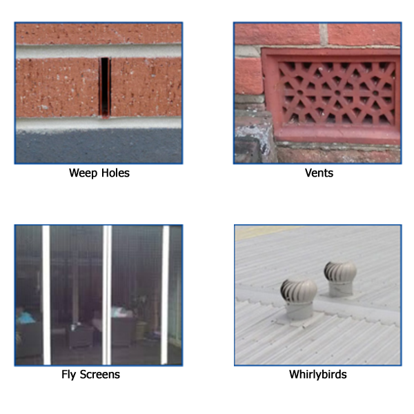 Ember Defender | Top Idea